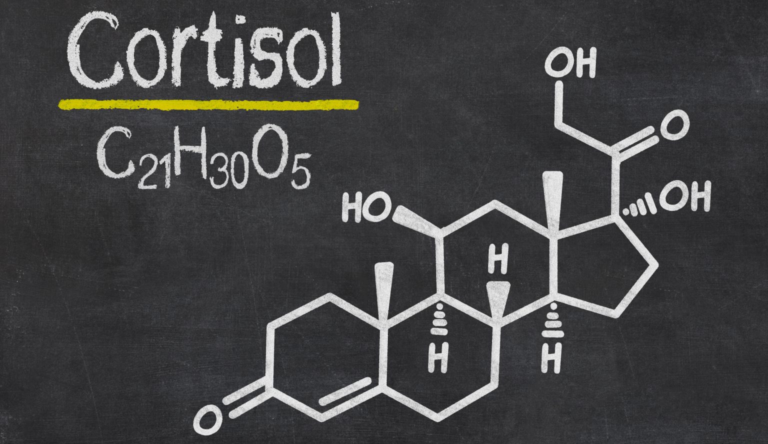 Cortisol and Exercise: Understanding the Connection Between Them | Dr ...